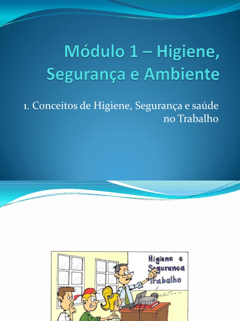 1-Conceitos de HSST | PDF | Bem-estar | Médico