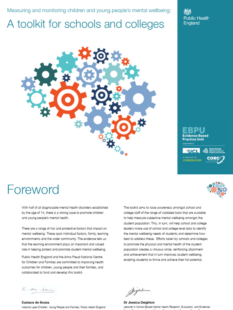 Toolkit for Measuring Student Mental Wellbeing | PDF | Mental Health ...