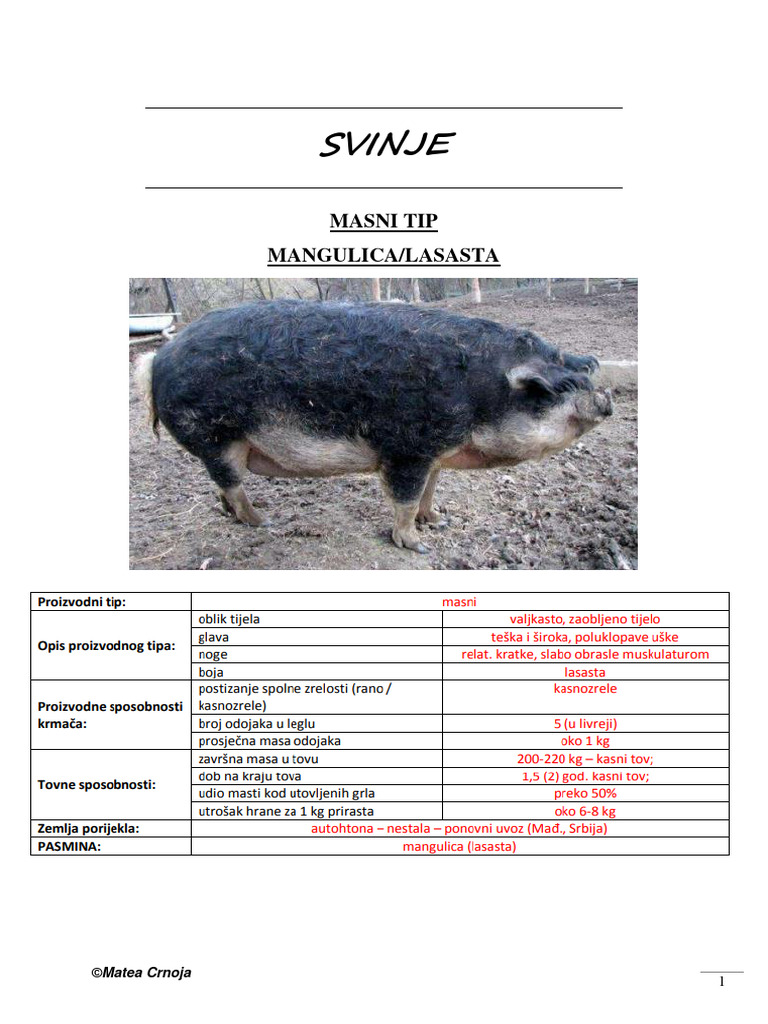 Pasminska Svojstva - Skripta Za Završni | PDF