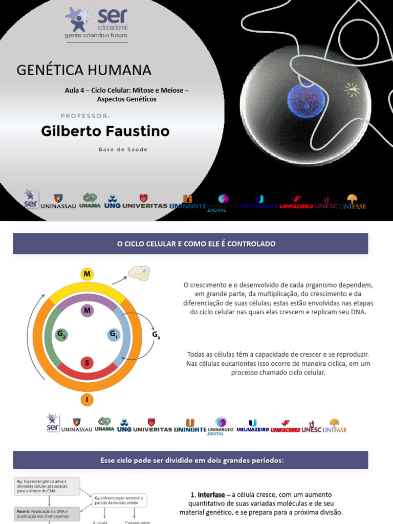 Aula 4 Ciclo Celular Mitose E Meiose Aspectos Genéticos Pdf