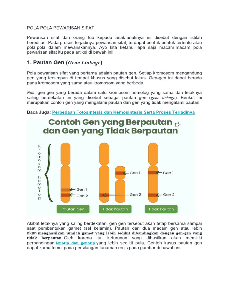 Pola Pola Pewarisan Sifat | PDF