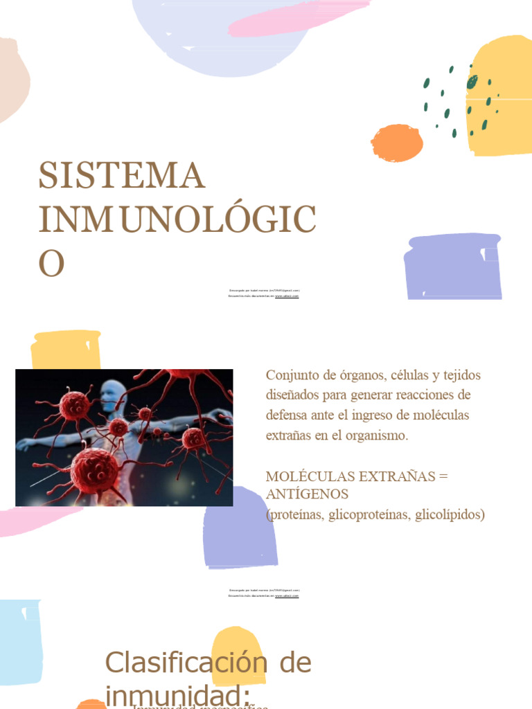 Sistema Inmunologico | PDF | Sistema inmune | Sistema inmune innato