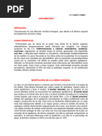 Guía sobre Cromoniquia y Alteraciones Ungueales | PDF | Clavo (anatomía ...