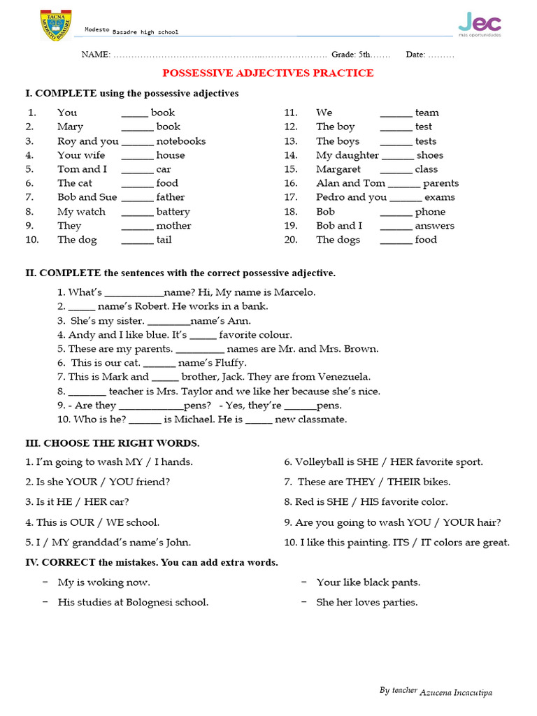 Possessives Practice | PDF