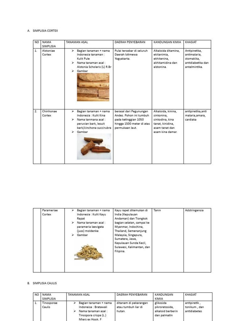 Simplisia Cortex | PDF