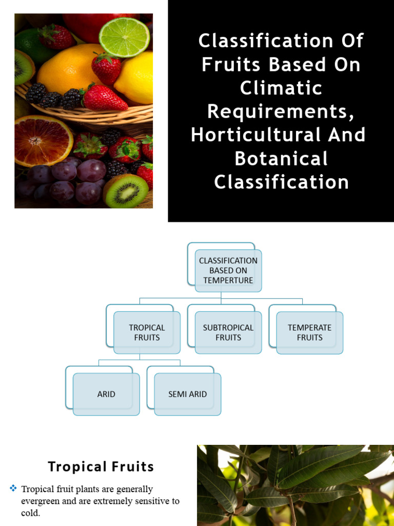 Fruits Classification | PDF | Fruit | Agriculture Fruits Classification | PDF | Fruit | Agriculture