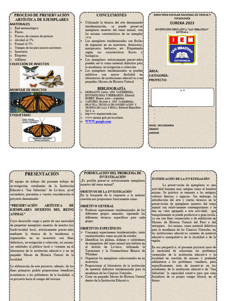 Triptico Fencyt 2023 | PDF