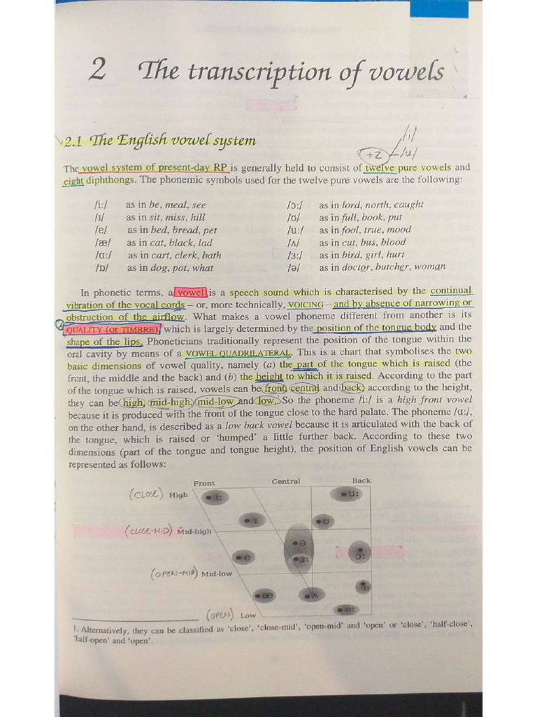 Phonetics - The English Vowel System | PDF