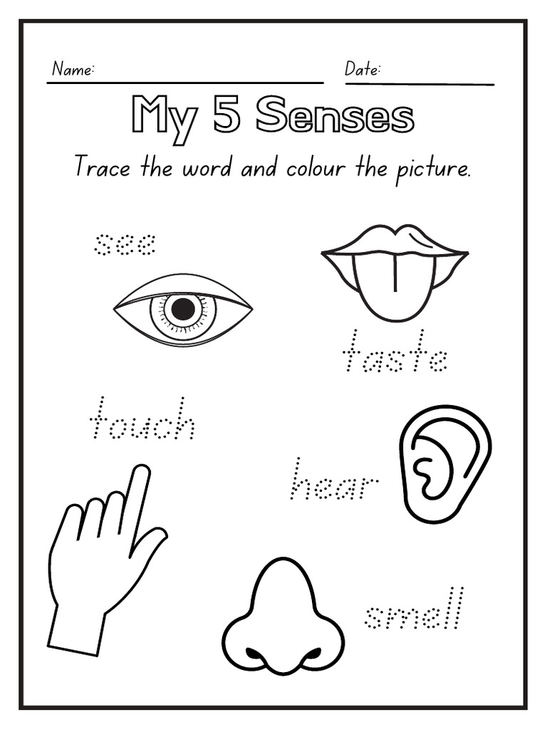 5 Senses Tracing and Coloring Worksheet | PDF