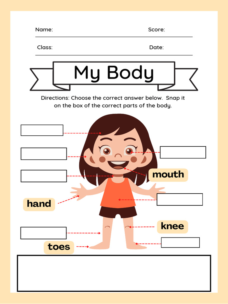 Boy & Girl Body Parts Worksheet | PDF