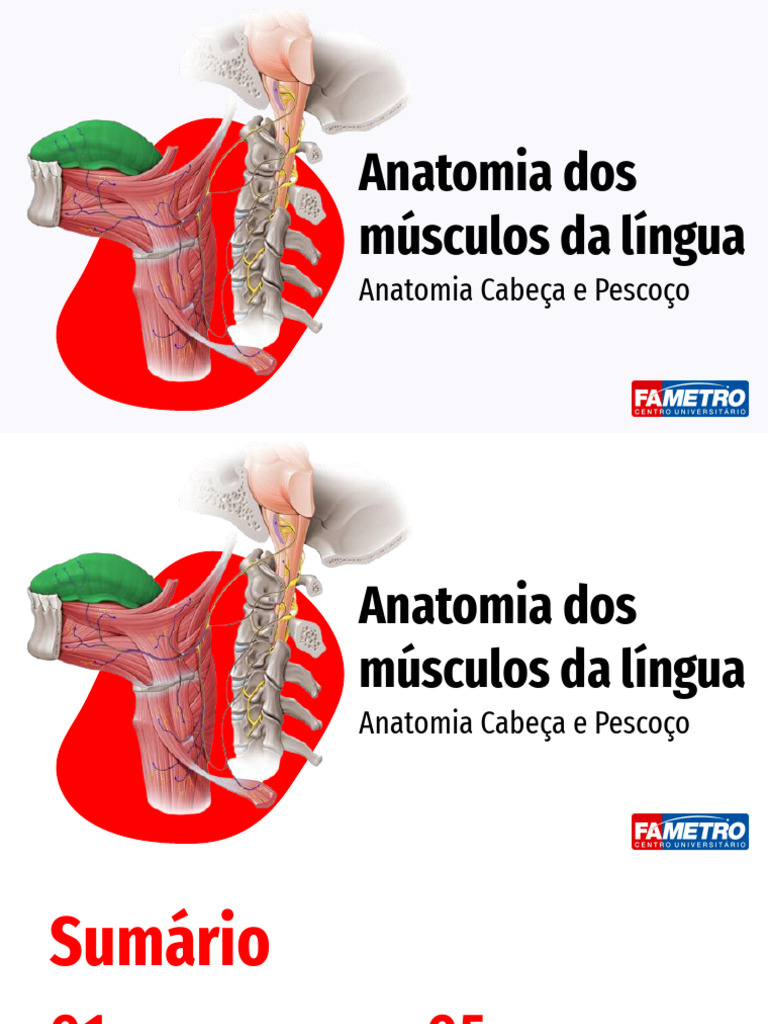 Anatomia Dos Músculos Da Língua | PDF