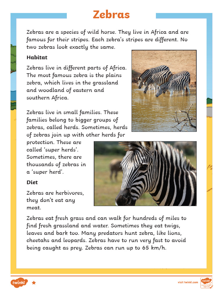 Zebra Factfile | PDF | Predation | Lion