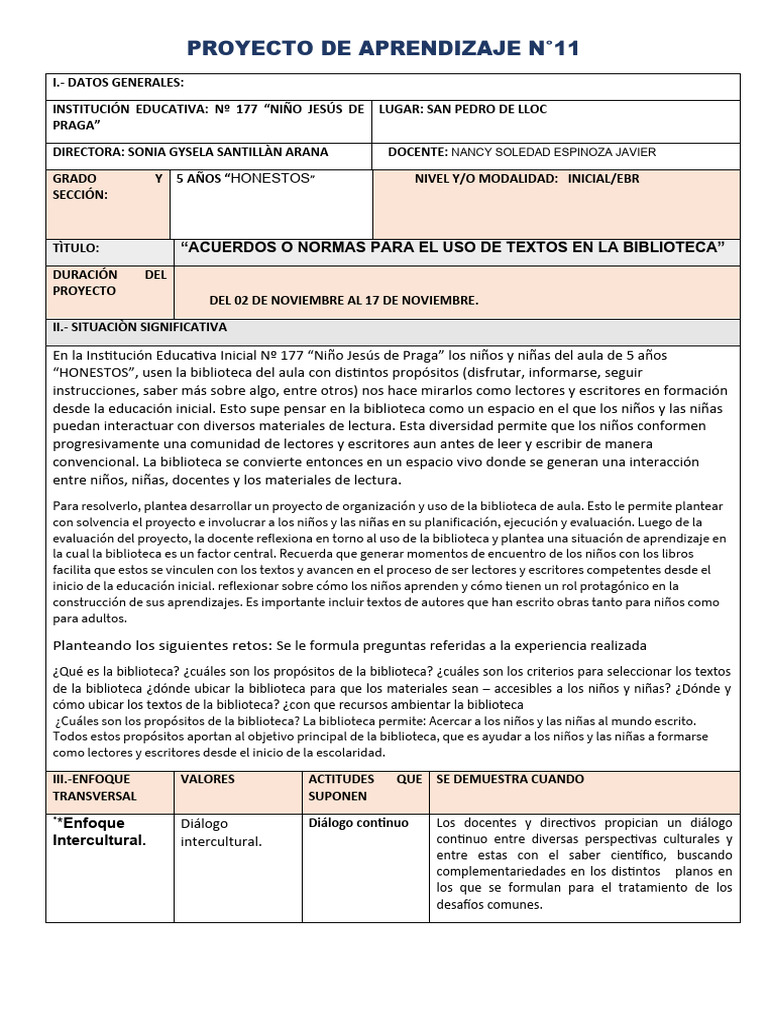 Proyecto N 11 | PDF | Aprendizaje | Evaluación