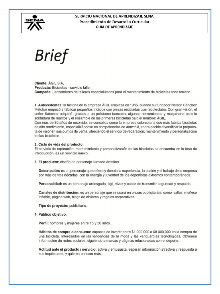 Brief Ilustracion de Personaje | PDF