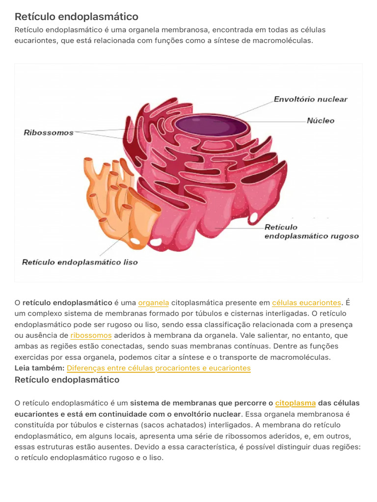 Funciones del Retículo Endoplasmático | PDF