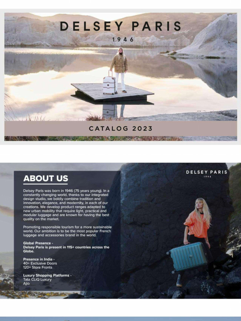 Delsey Paris - Stock Report-30-10-2023 | PDF