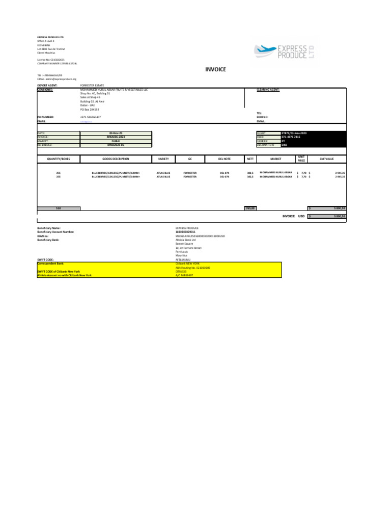 Blueberries Export Invoice to Dubai | PDF | Payments | Banking Technology