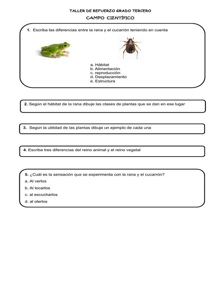 Taller Ciencia para Tercer Grado | PDF