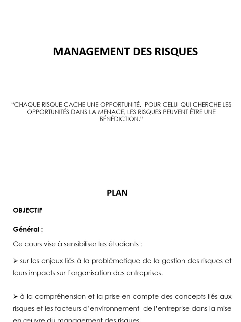 Management Des Risques | PDF