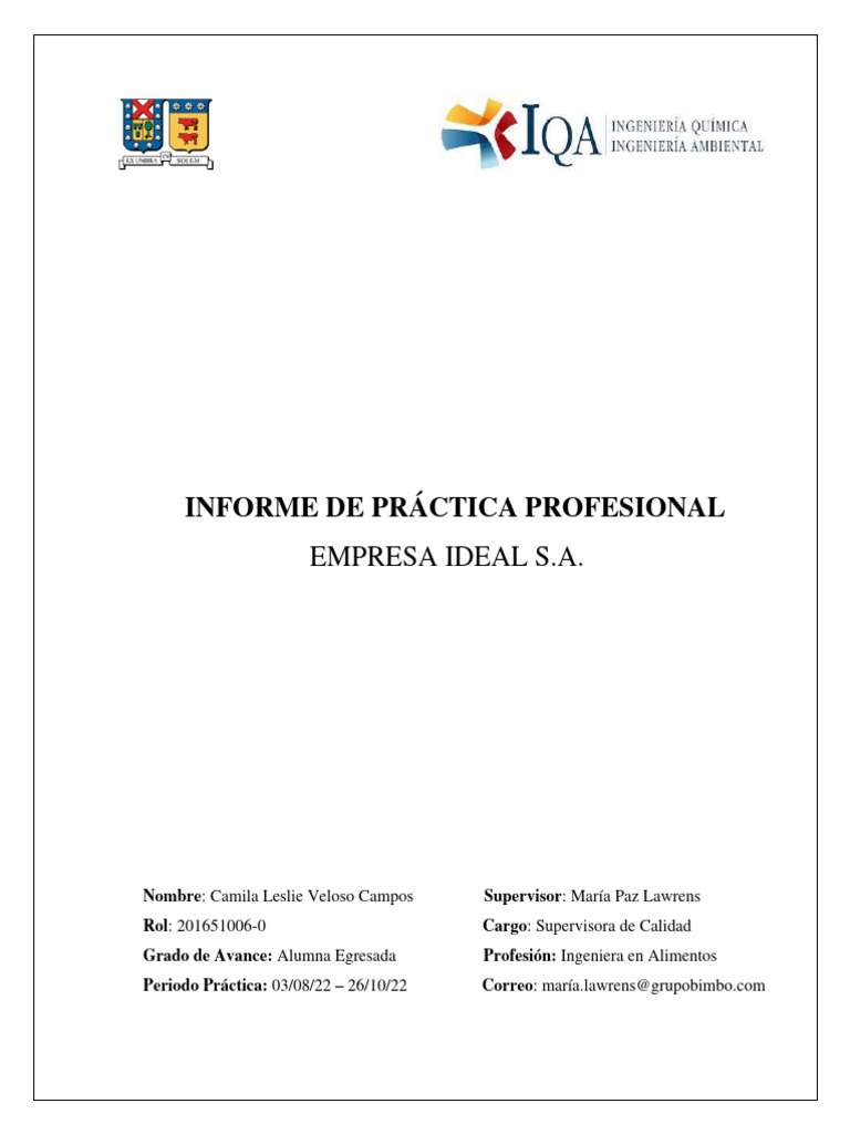 Informe De Práctica Profesional Ideal S A Pdf Panes Software