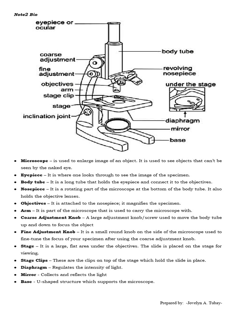 1 Microscope | PDF