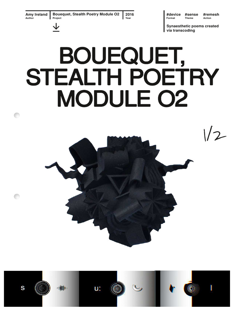 Bouequet Stealth Poetry Module 02 | PDF