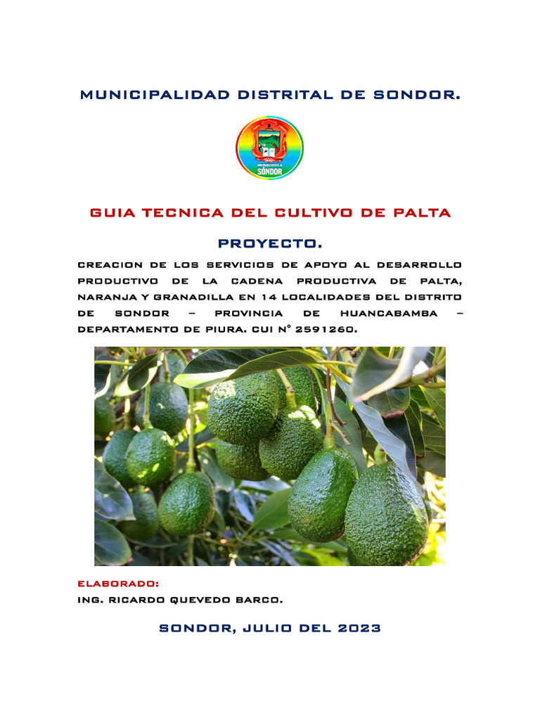 Guia Tecnica Del Cultivo de Palta | PDF | Aguacate | Riego