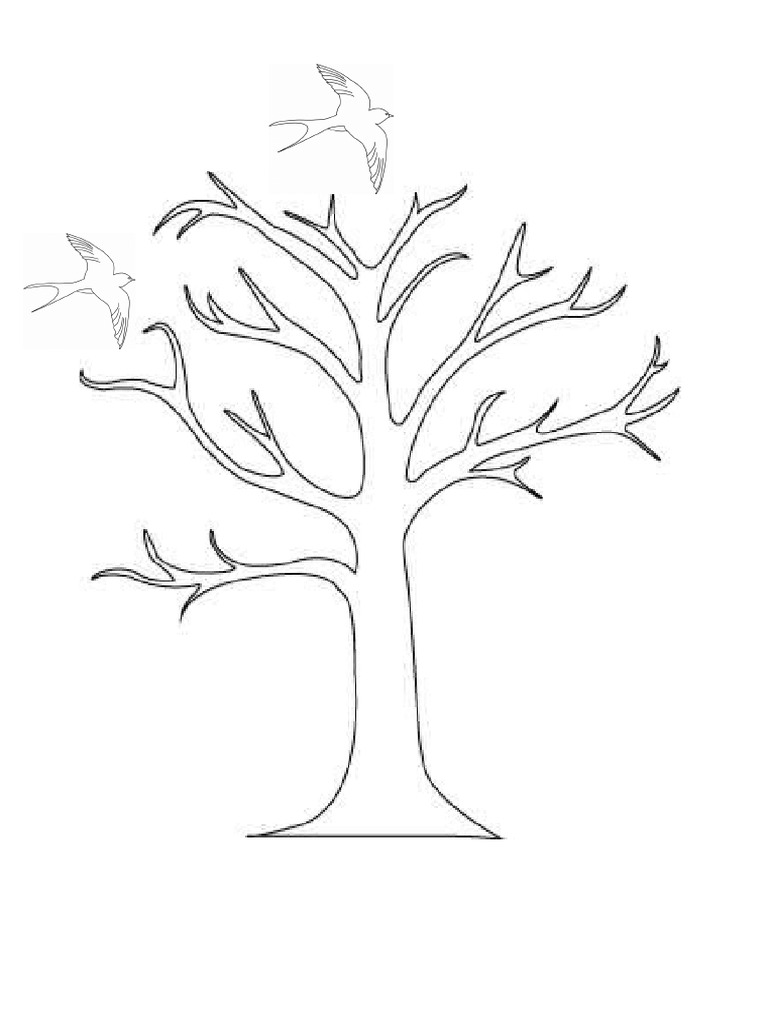 Orientarea Spatiala | PDF