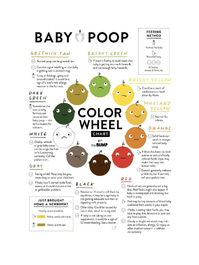 21_poop-wheel | PDF
