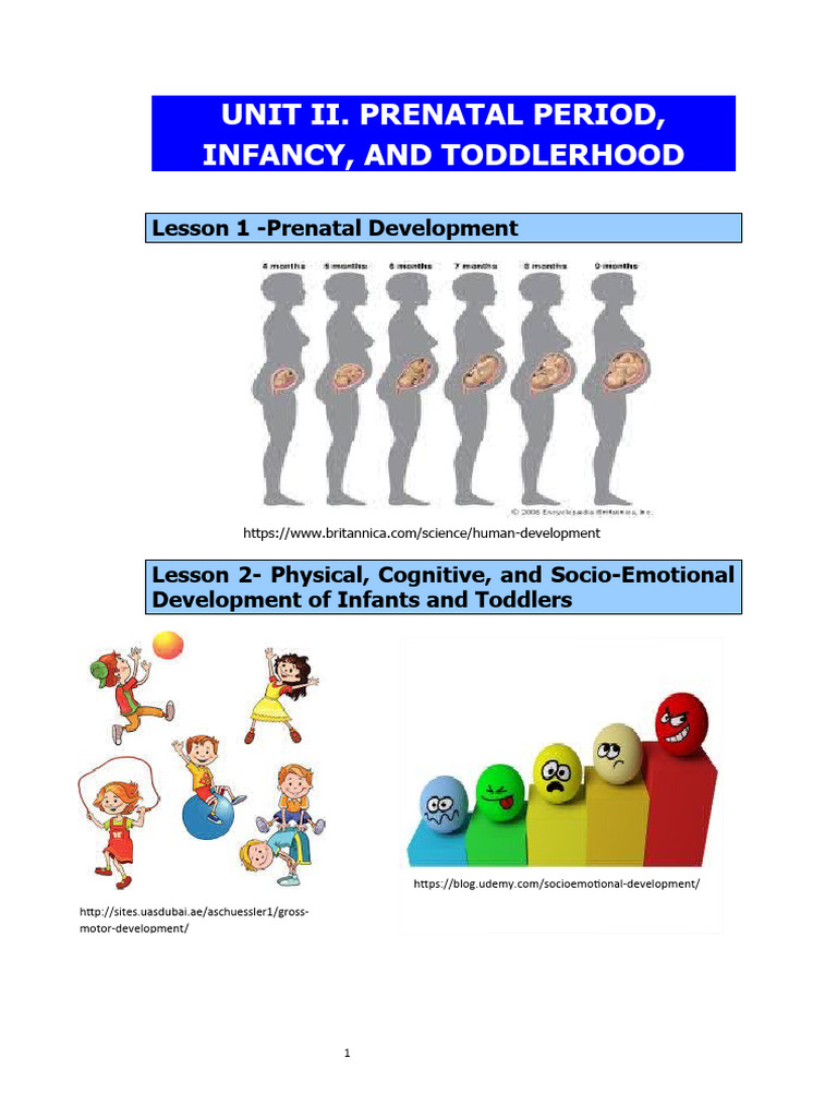 Unit II Prenatal Development | PDF
