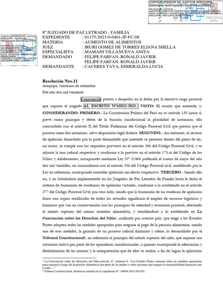 Exp. 00033-2023-41-2802-JR-PE-01 - Anexo - 39090-2023 | Descargar gratis PDF | Apelación ...