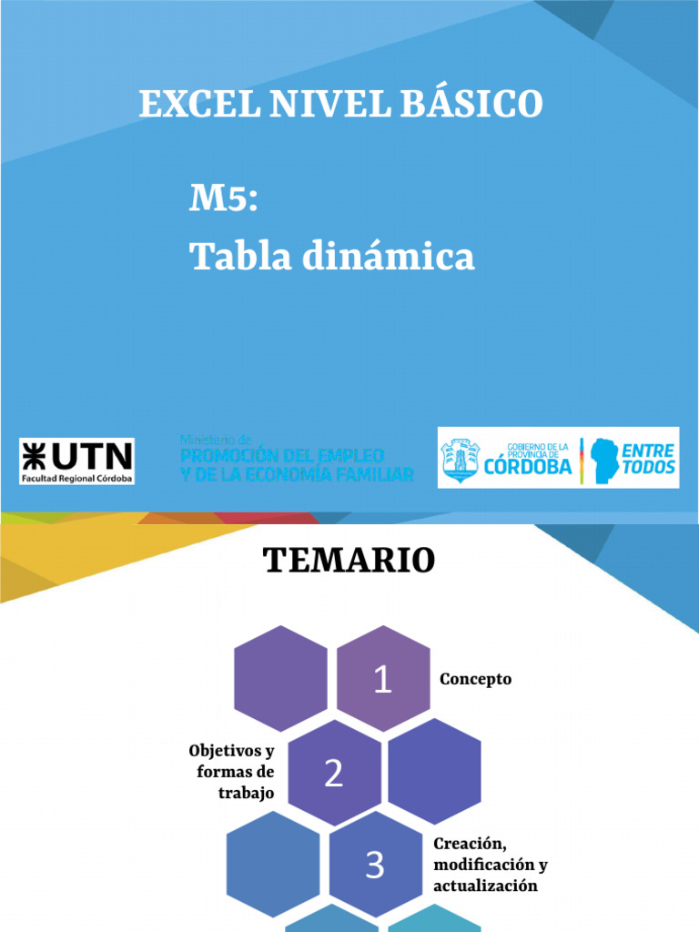 Modulo 5 | PDF | Microsoft Excel | Software