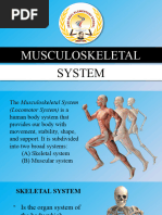 60 Muscular System Exam Questions | PDF | Skeletal Muscle ...
