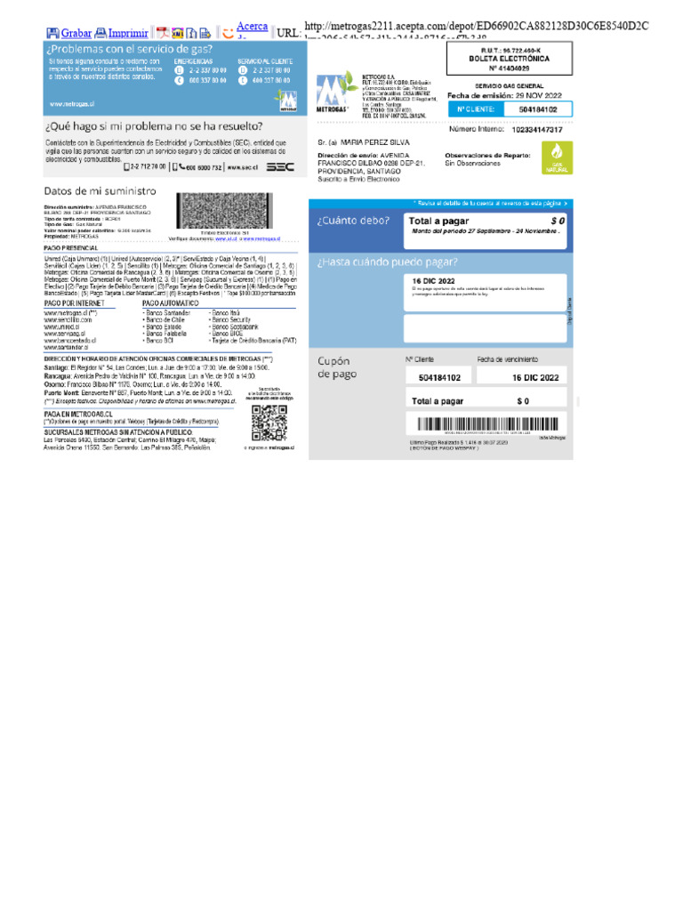 Metrogas 2021 Cero Pesos | PDF