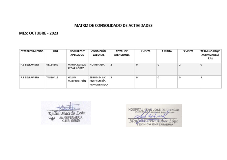 Matriz de Consolidado Profam 1 | PDF