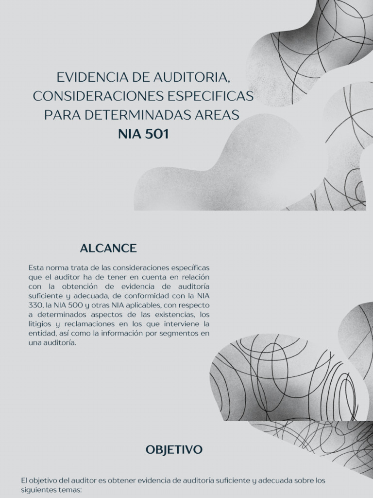Presentacion NIA 501 | PDF