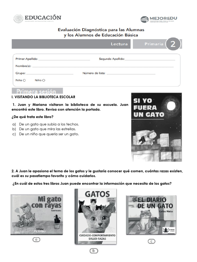 Actividades de Lectura y Comprensión | PDF