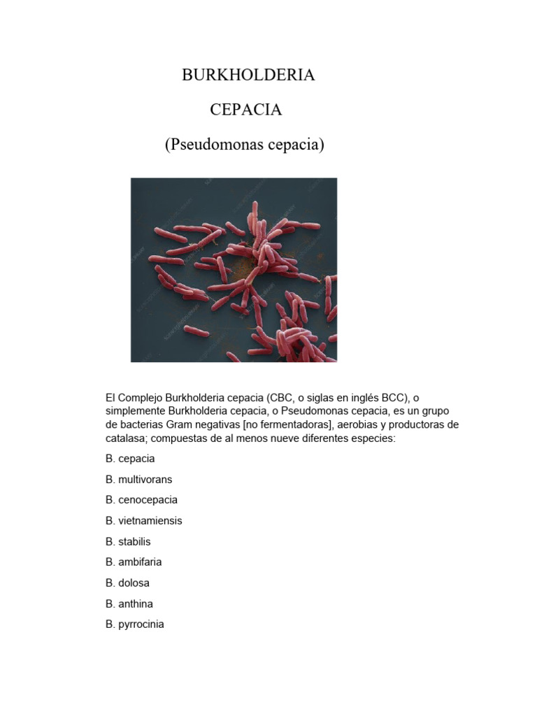 Burkholderia Cepacia (Pseudomonas Cepacia) | PDF | Epidemiología ...