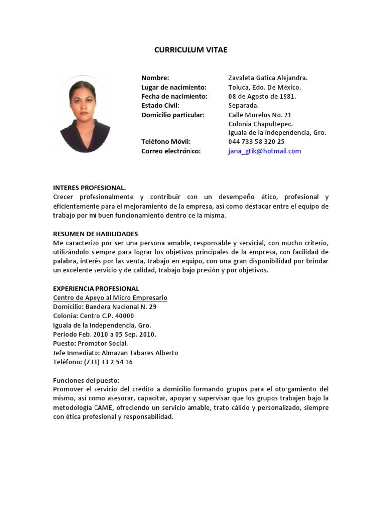 Curriculum Vitae Alejandra Zavaleta G. | PDF | México | Contabilidad