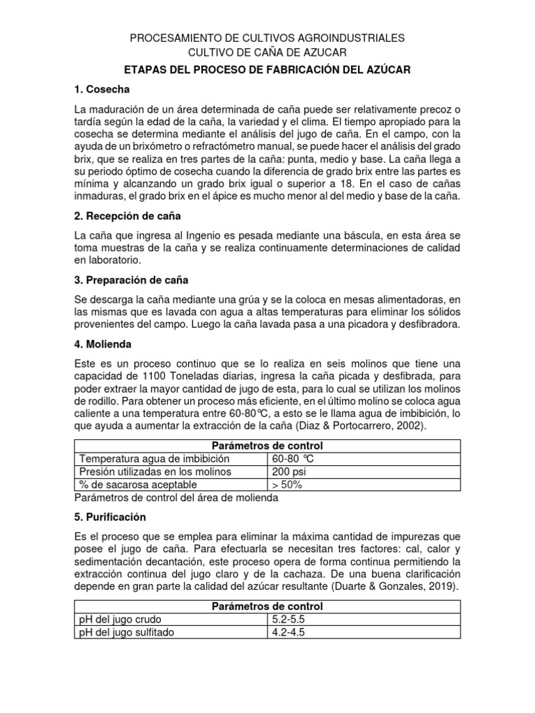 Procesamiento de Caña de Azucar | PDF | Agua | Azúcar