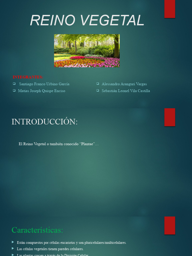 Reino Vegetal o Plantae | PDF | Plantas | Suelo