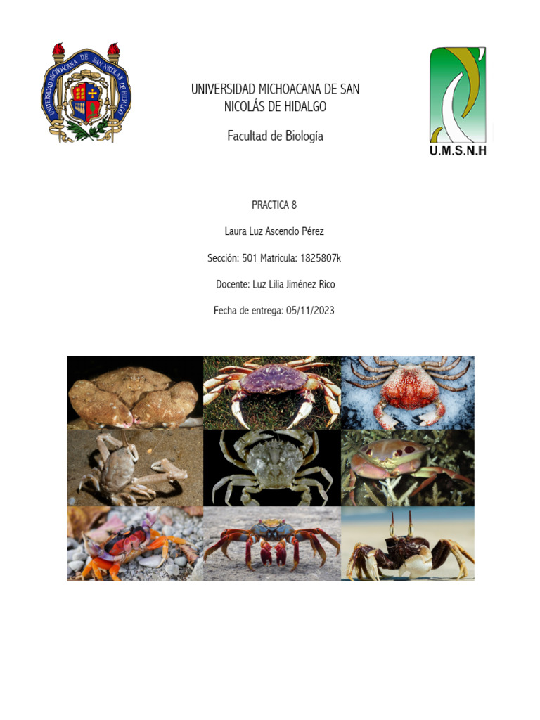 Características y Clasificación de Crustáceos | PDF | Crustáceo ...
