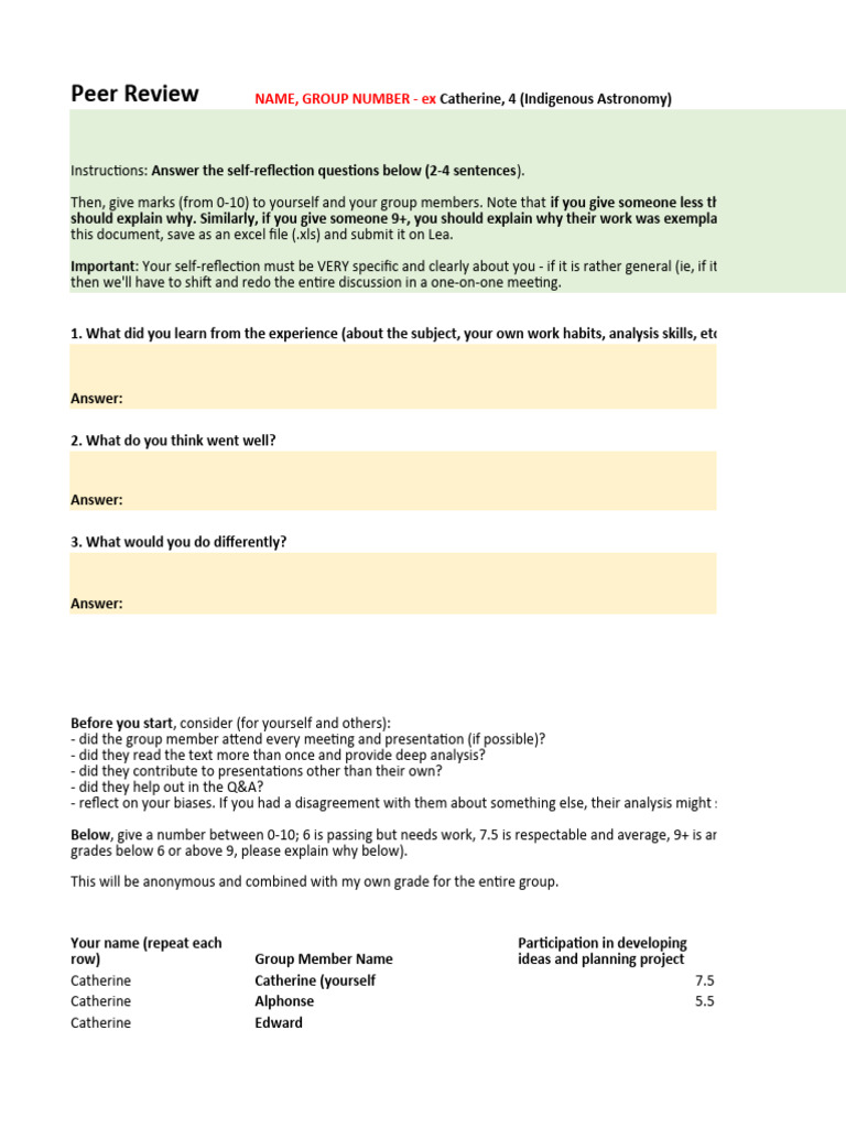 BMA-Self and Peer Evaluation | PDF