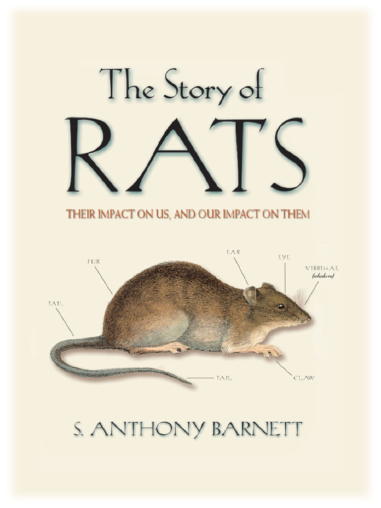 The Story of Rats - Their Impact On Us, and Our Impact On Them | PDF ...