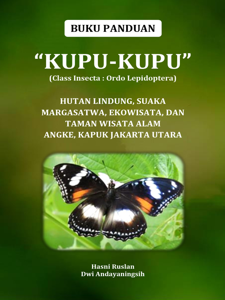 Buku Panduan Kupu-Kupu Di Hutan Lindung | PDF