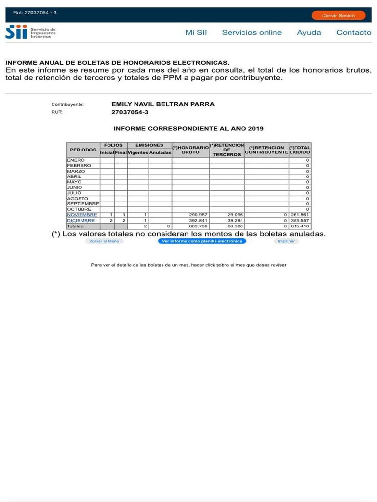 Informe Anual de Boletas | PDF