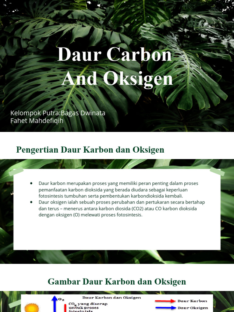 Tugas Biologi Daur Karbon Dan Oksigen | PDF