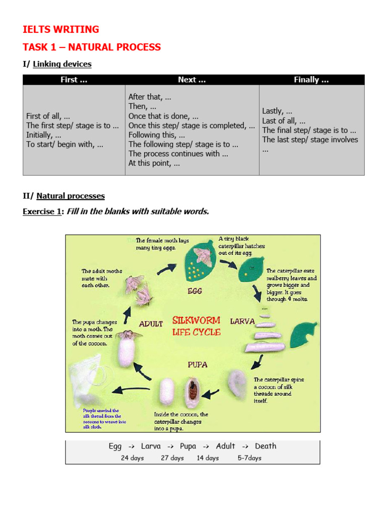 Writing task 1 - Natural process | PDF | Pupa | Insects And Humans