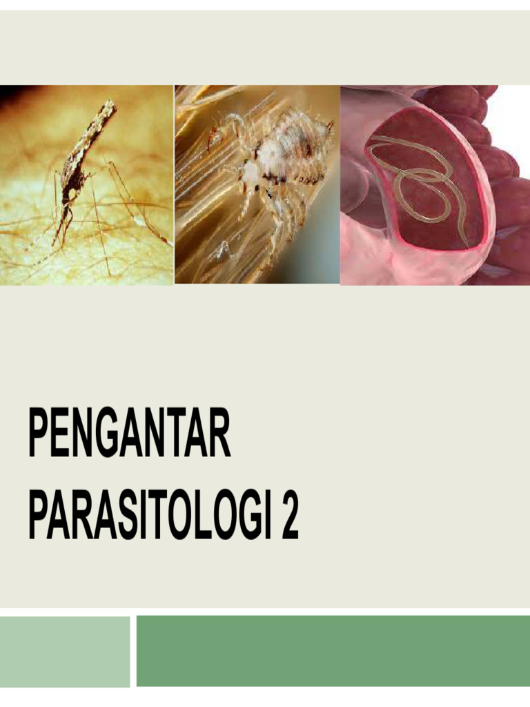 Pengantar Parasitologi 2 Pdf
