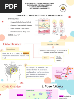 Curva de Friedman en Partos Eutócicos | PDF | Parto | Salud maternal